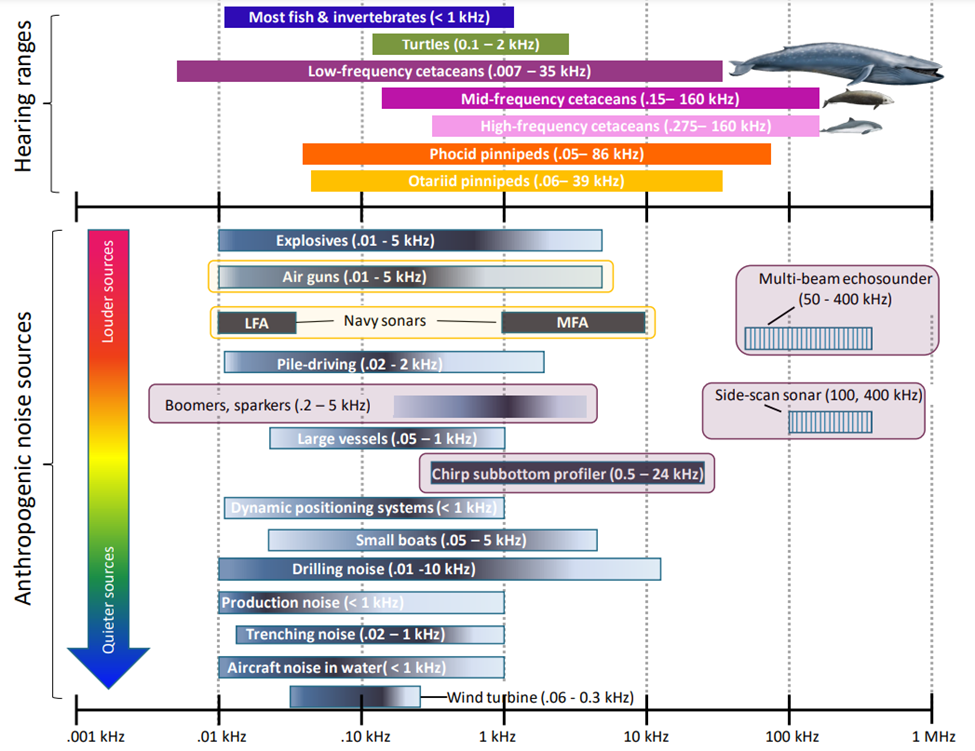 Whale Tales and Whale Facts – Pragmatic Environmentalist of New York